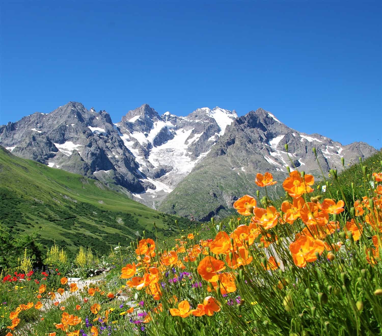 Découvrir les Hautes Alpes en été - AlpAddict